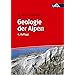 Geologie der Alpen : Pfiffner, O. Adrian: Amazon.de: Bücher