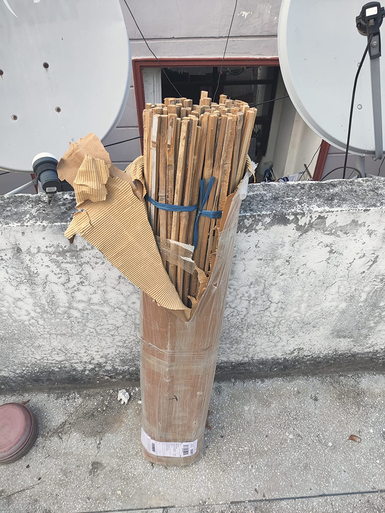 TCLPVC Bamboo Sticks for Plants Support (Pack of 100 Piece) Height 4 ...