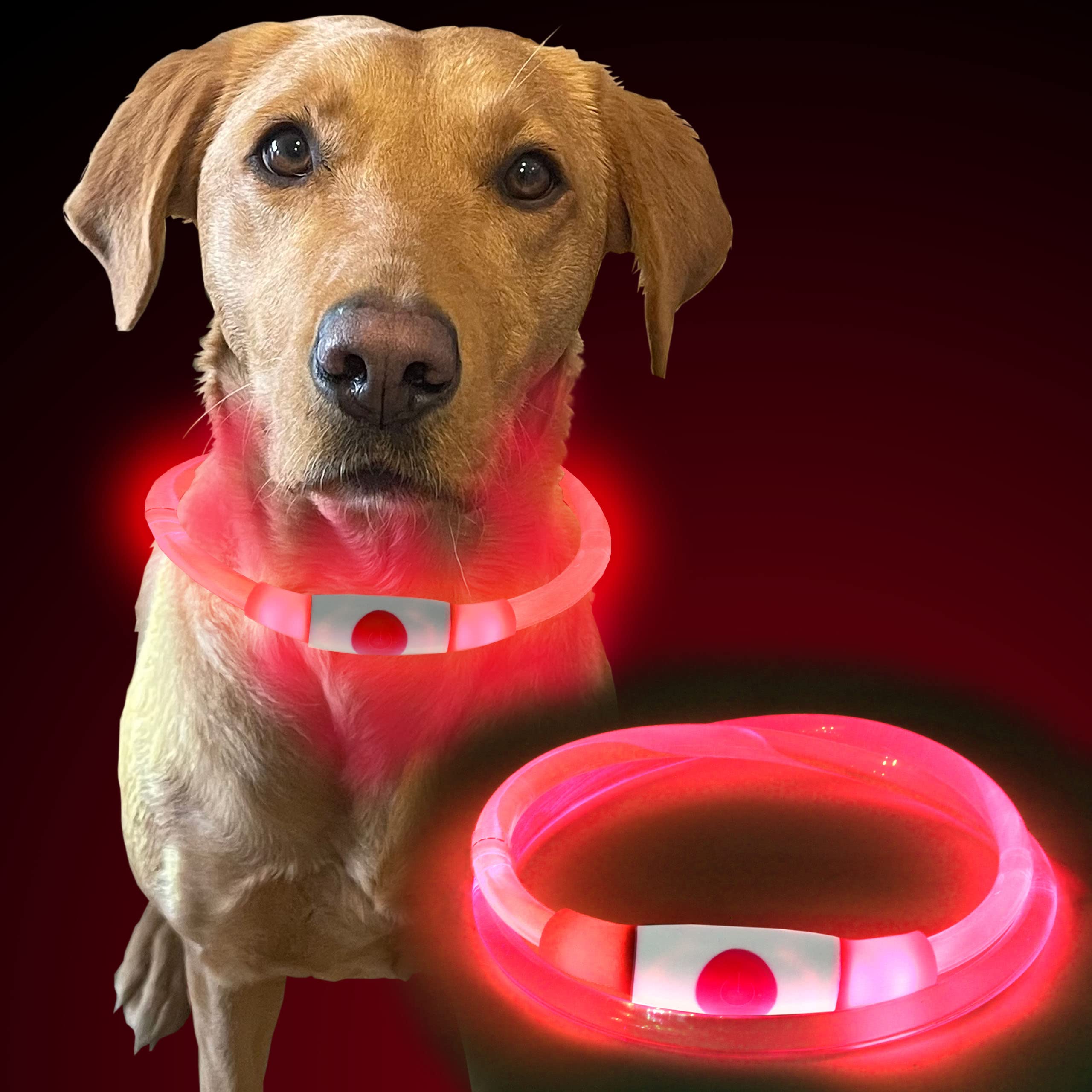 MURR Dog Light Up Collar | Flashing Dog Collar | Dog Collar Light ...