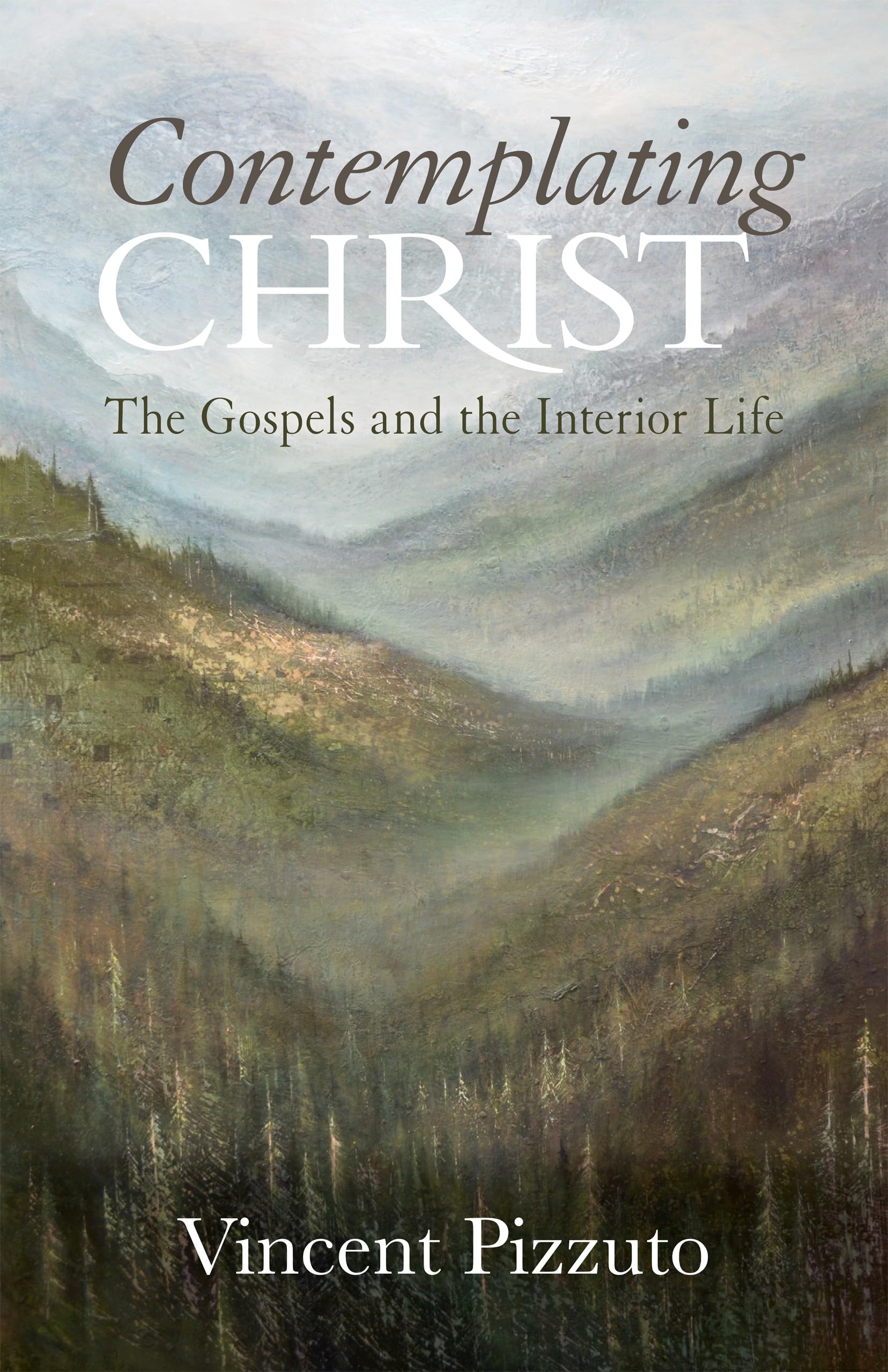 Contemplating Christ: The Gospels and the Interior Life: Pizzuto ...