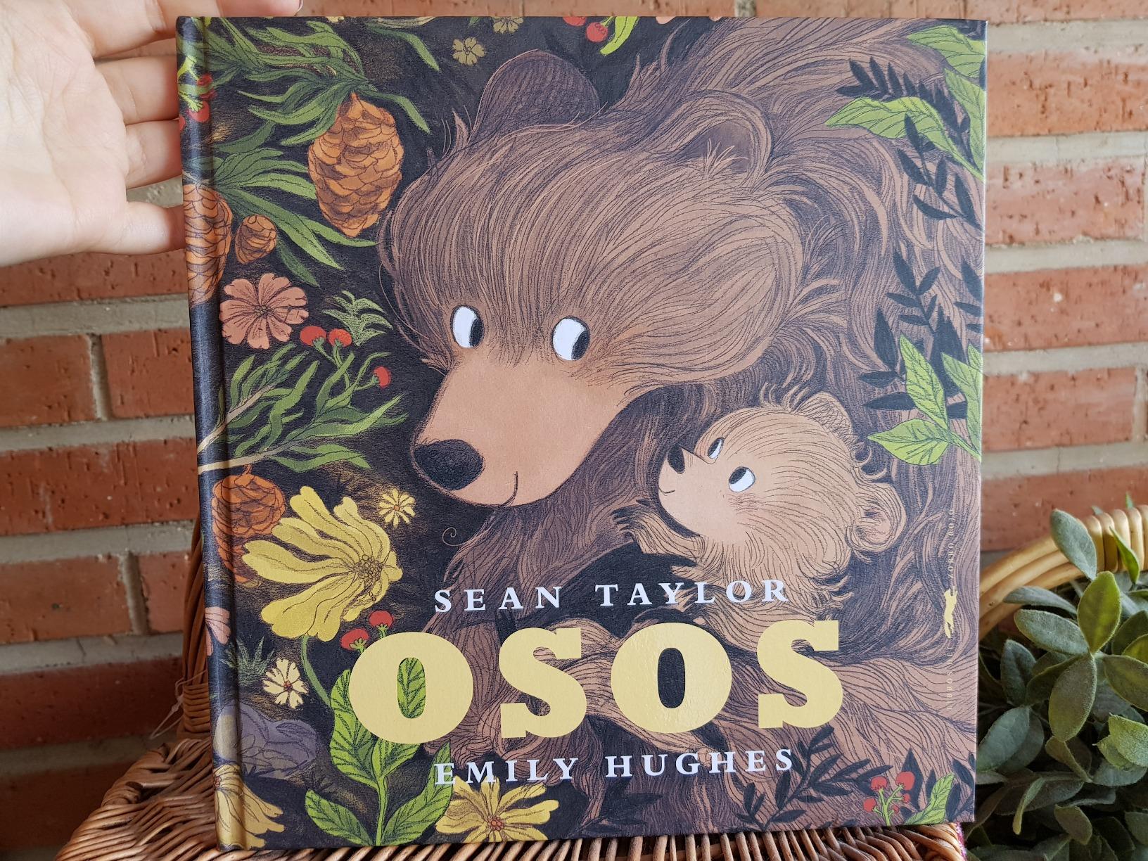 Osos (ALBUMES ILUSTRADOS) : Taylor, Sean, Hughes, Emily, Borrego del ...