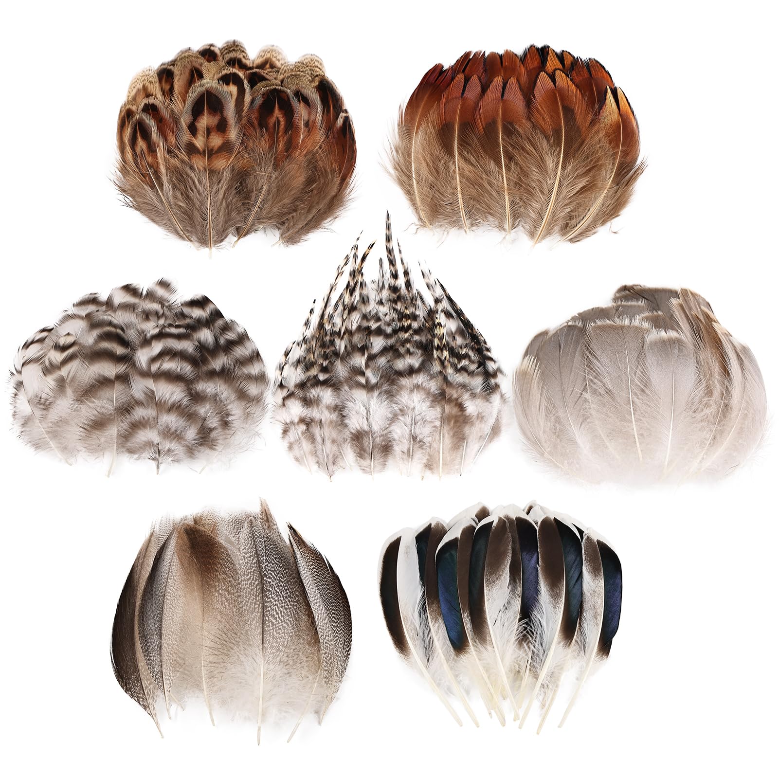 Amazon.com: MAOFENG 210pcs 7 Styles Natural Bulk Feathers Assorted ...