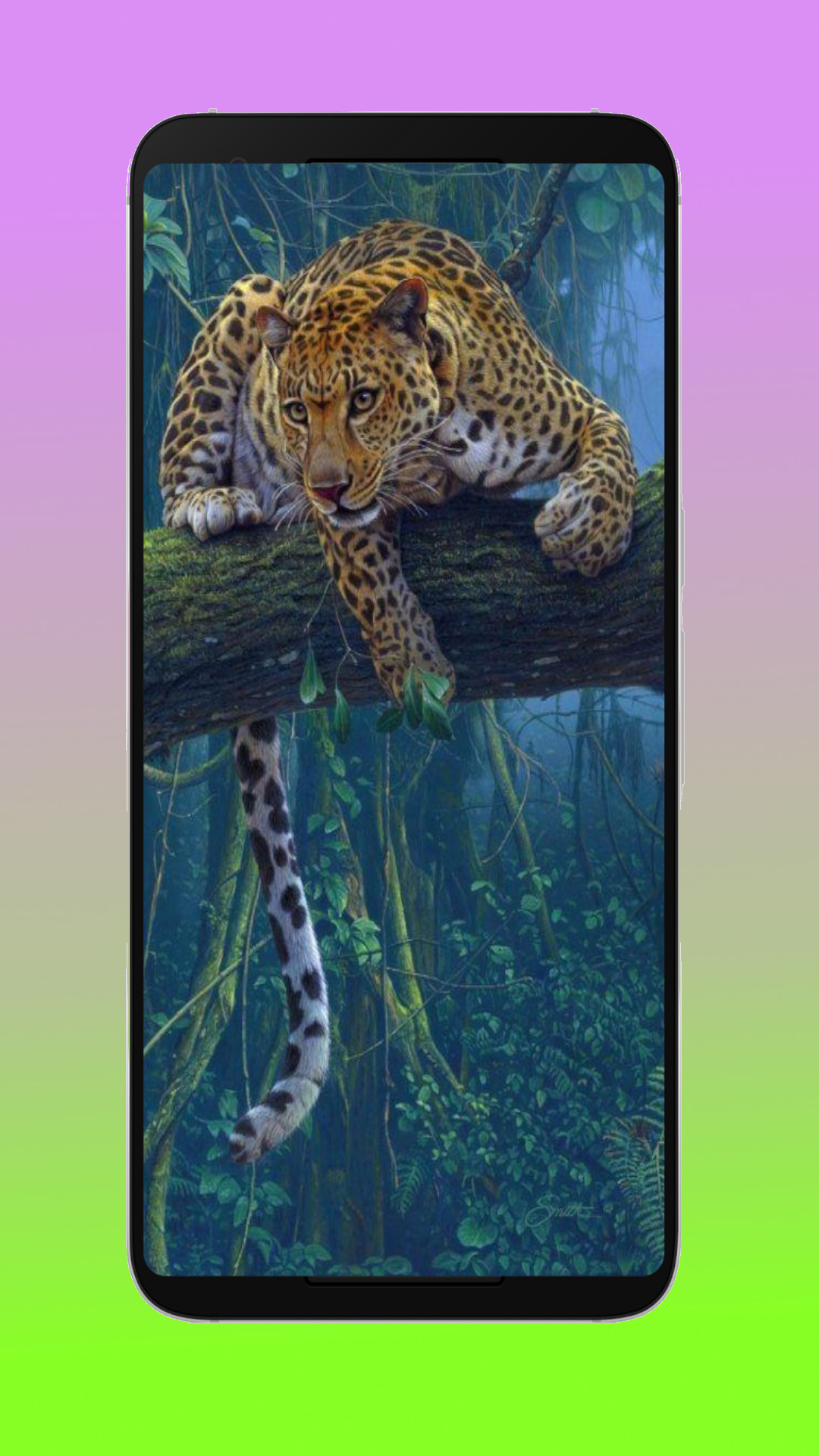 HD wild animal wallpapers - App on Amazon Appstore
