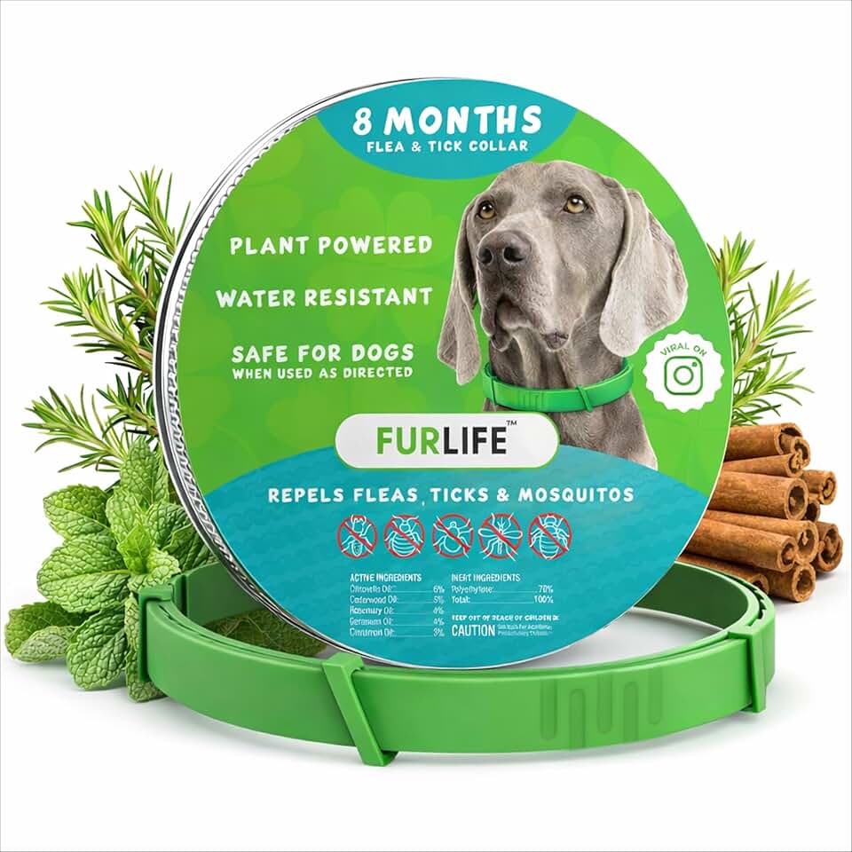 Amazon.com: Furlife