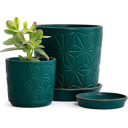 Amazon.com : Ceramic Flower Plants Pots Planter - 3.8 Inch + 5.8 Inch ...