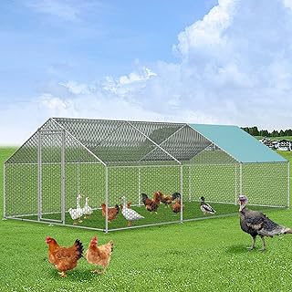 Constructing A Safe Chicken Run With Wire | CyChicken
