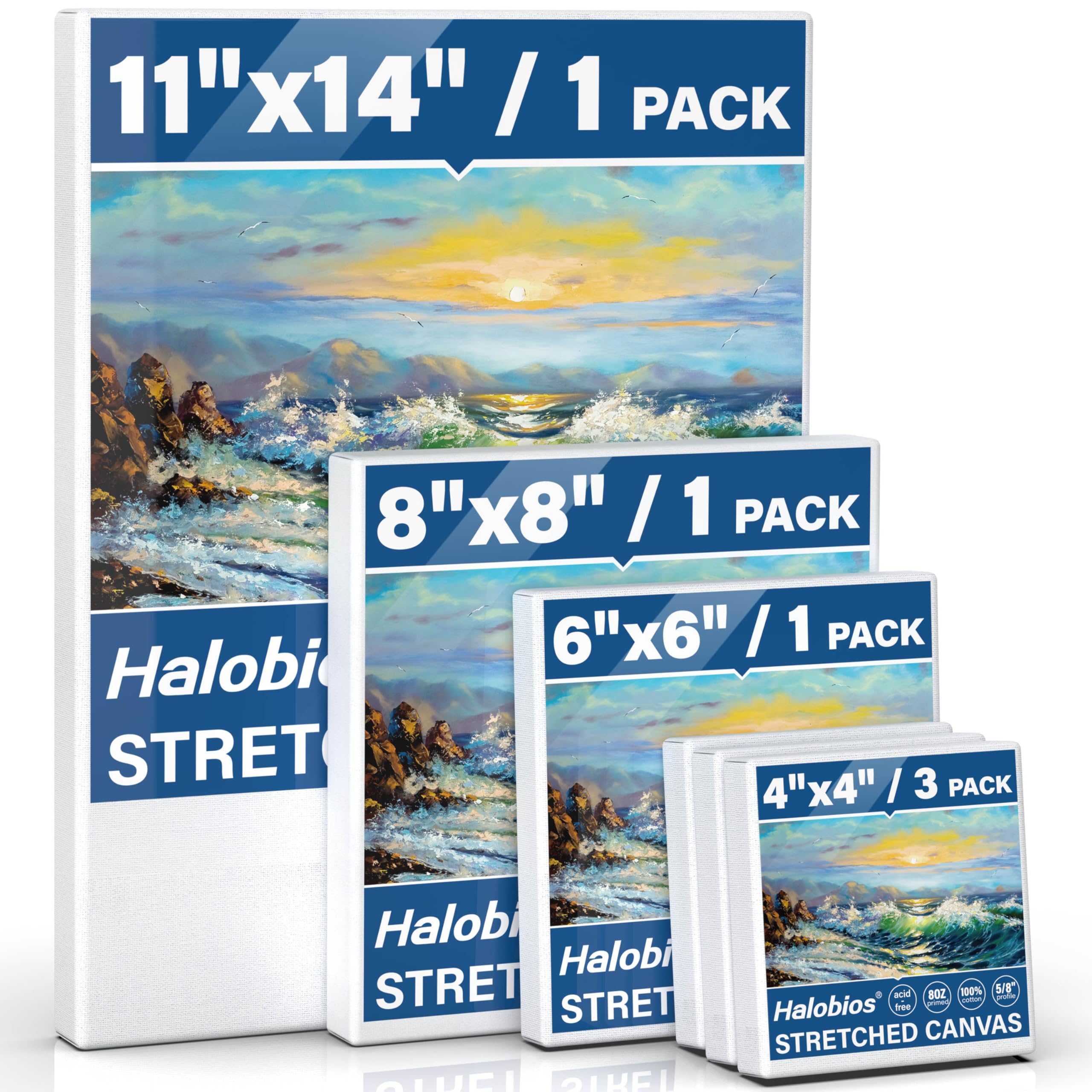 Amazon.com: Halobios 6 Packs Stretched Canvases for Painting with 4x4 ...