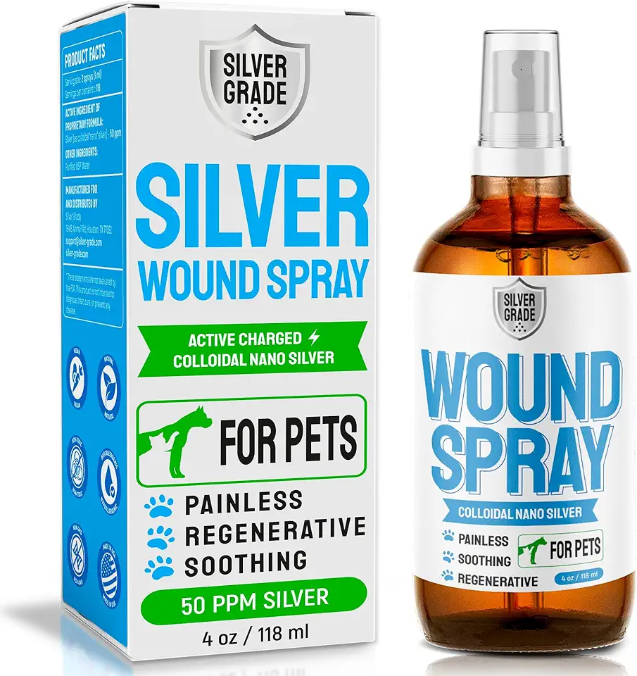 The Complete Guide: Using Colloidal Silver For Cats | PetShun