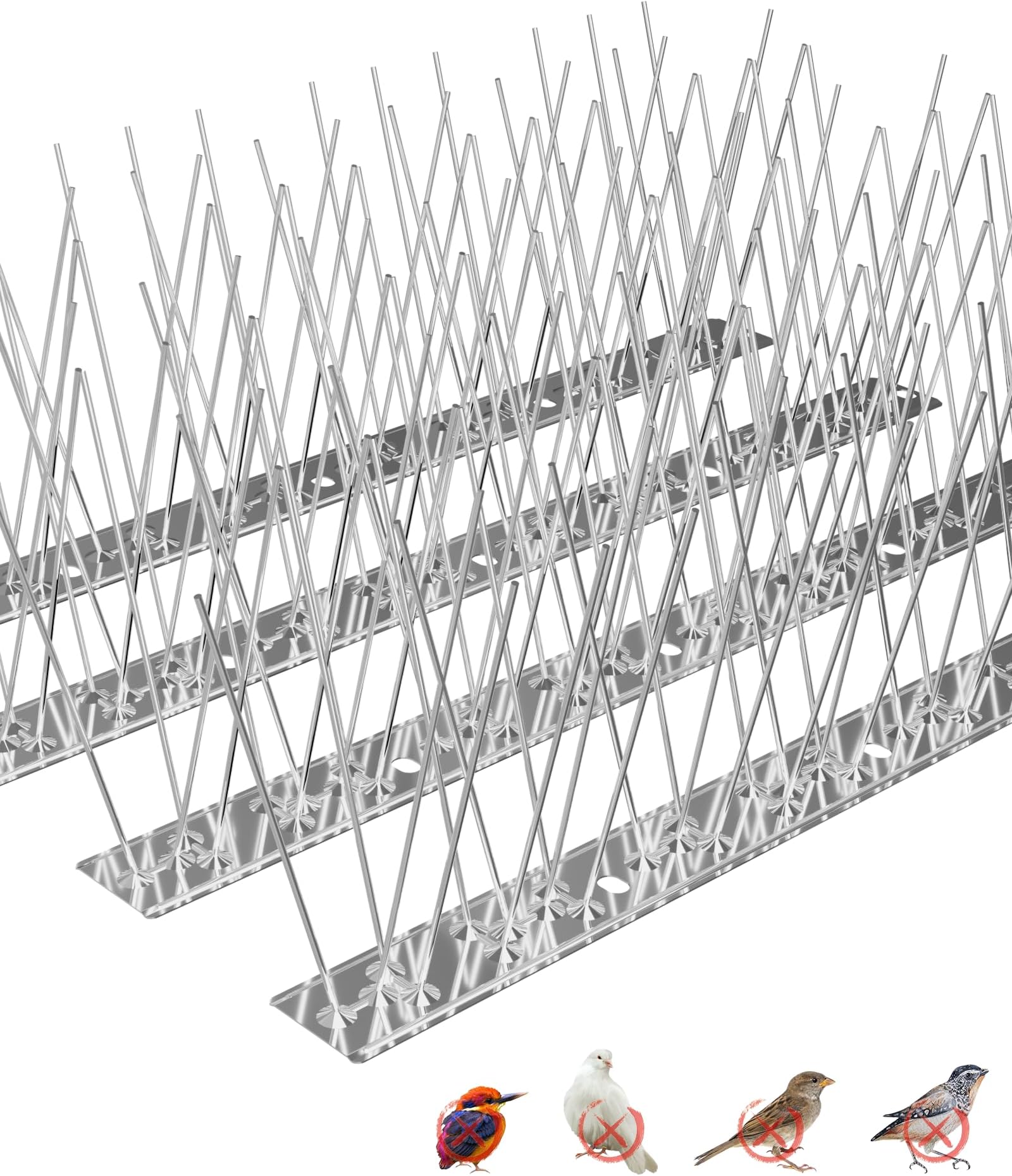 Amazon.com : Teyssor Bird Spikes, Stainless Steel Bird Spikes for ...