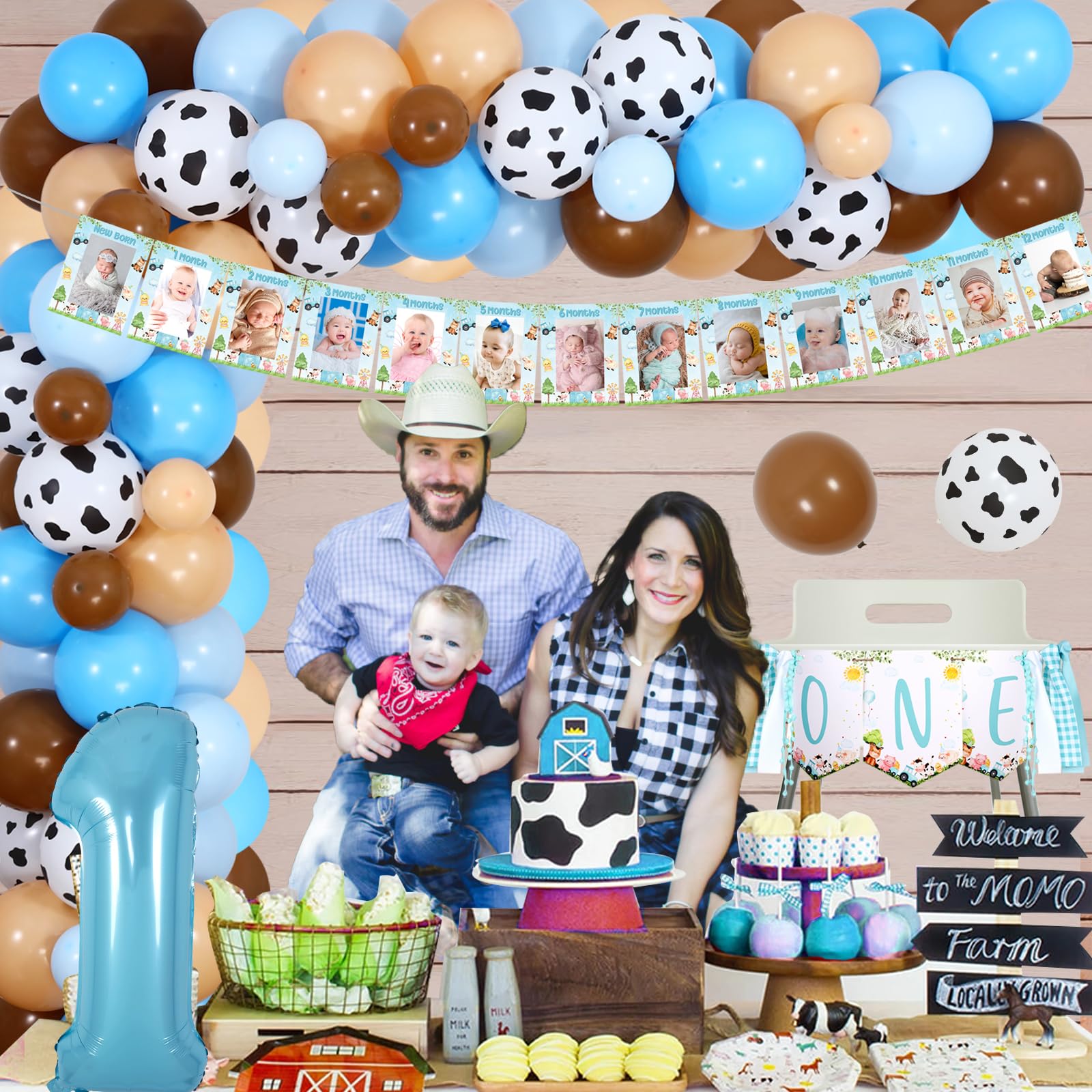 Barnyard 1st Birthday Animal Farm Themed Birthday Party: Baby's First