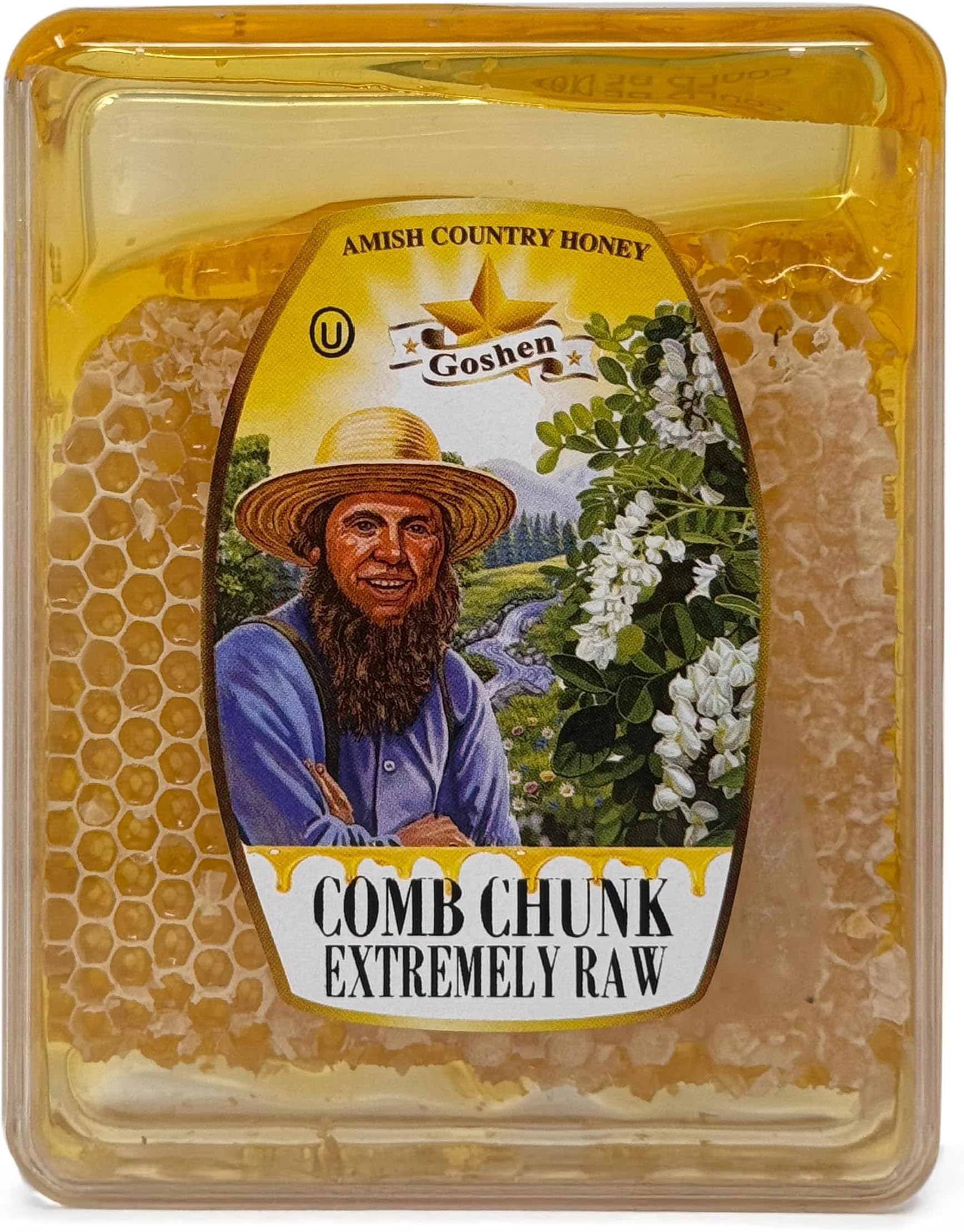 Amazon.com : Pure Southern Honey's Raw Honeycomb on Wooden Frame (apx ...