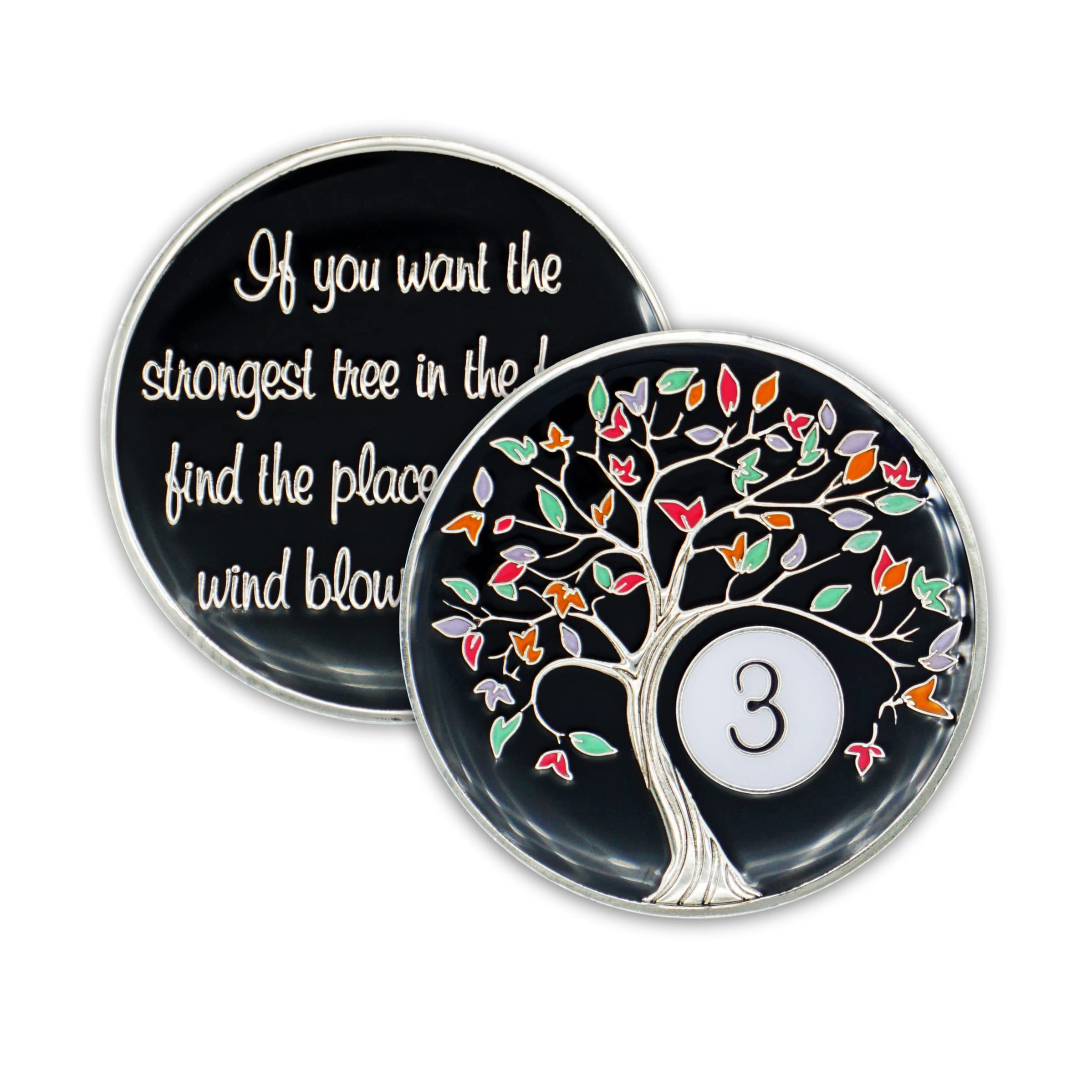 Amazon.com: 3 Year Sobriety Chip | Tree of Life AA Coin Token Medallion ...