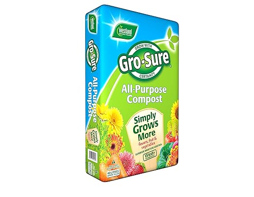 Gro-sure All Purpose Compost with 4 Months Plant Feed, 40 Litre x 2 ...