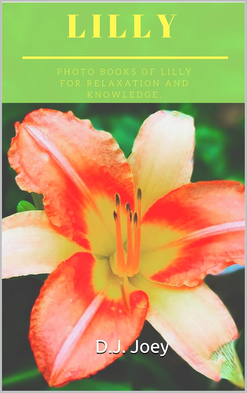 Lilly: Photo books of Lilly for relaxation and knowledge. (Flower Book ...