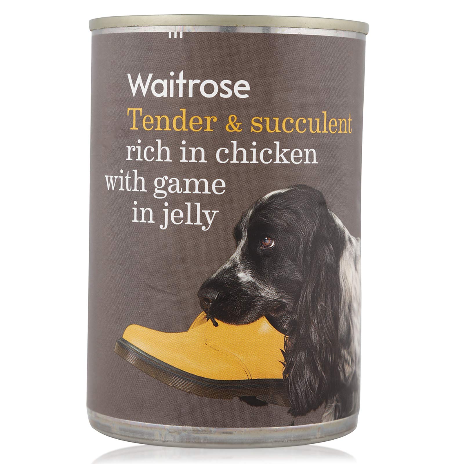 Can I Take My Dog Into Waitrose