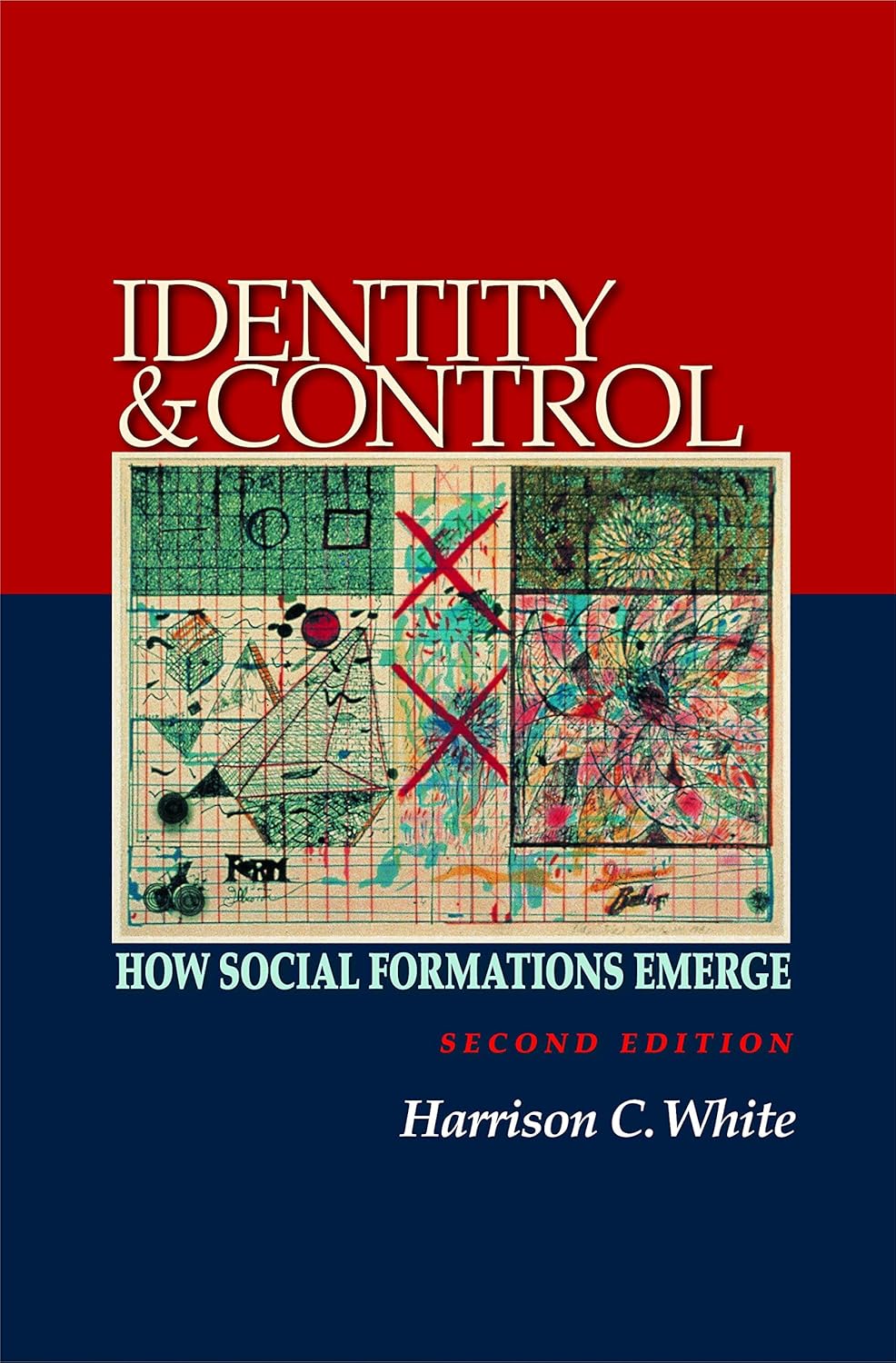 Amazon.com: Identity and Control: How Social Formations Emerge - Second ...