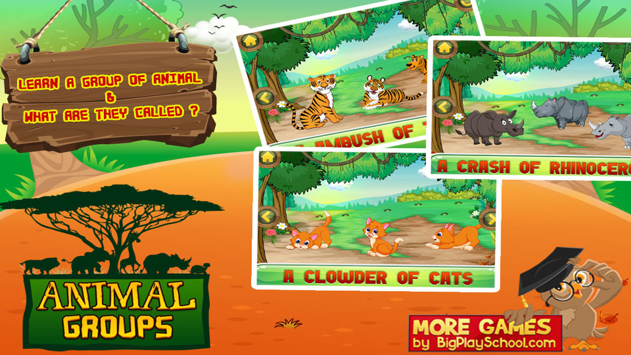 Animal Groups - Learn Animals - App on Amazon Appstore