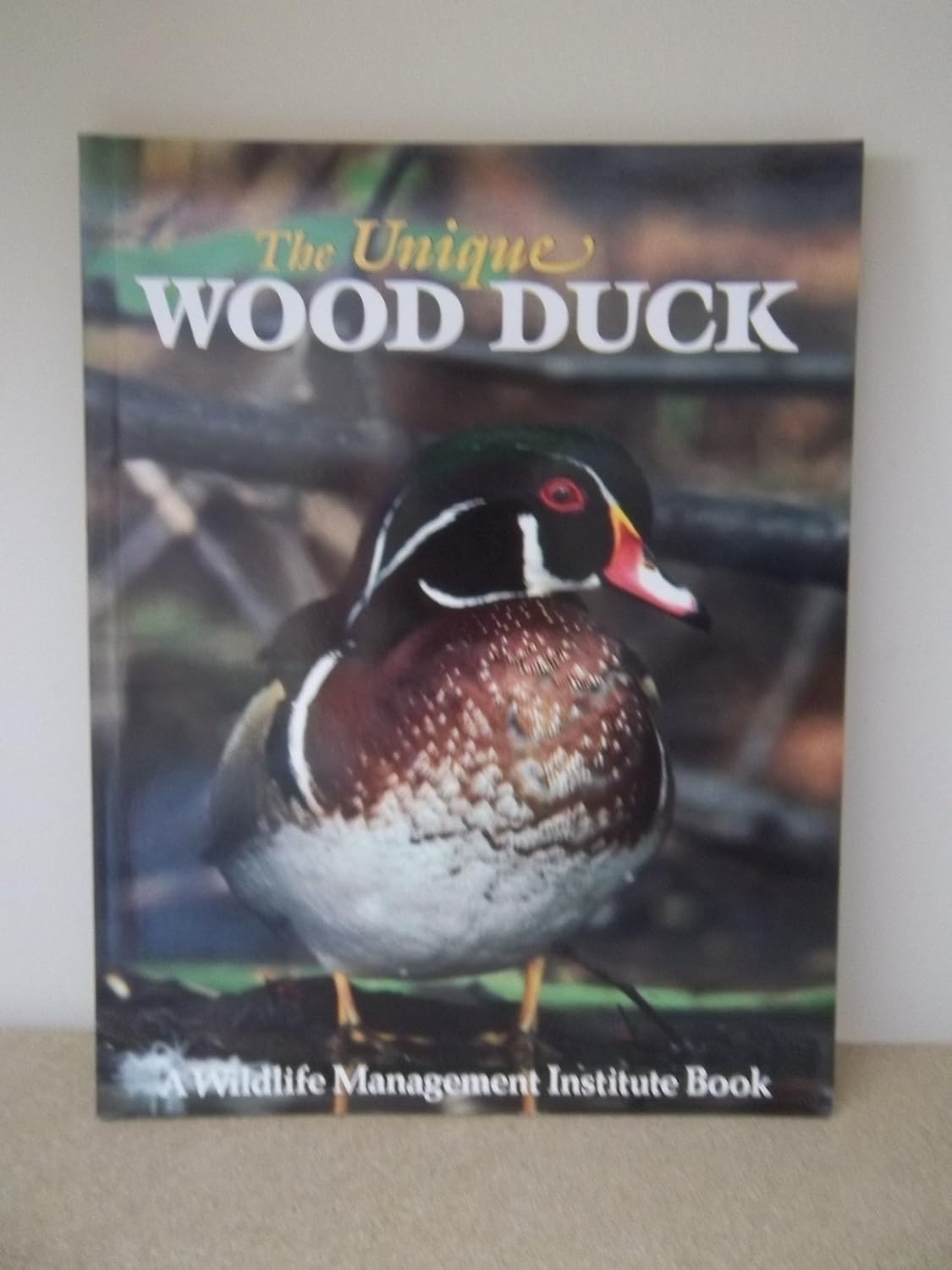 The Unique Wood Duck: Tableau of a Field Trip with Frank Bellrose and ...
