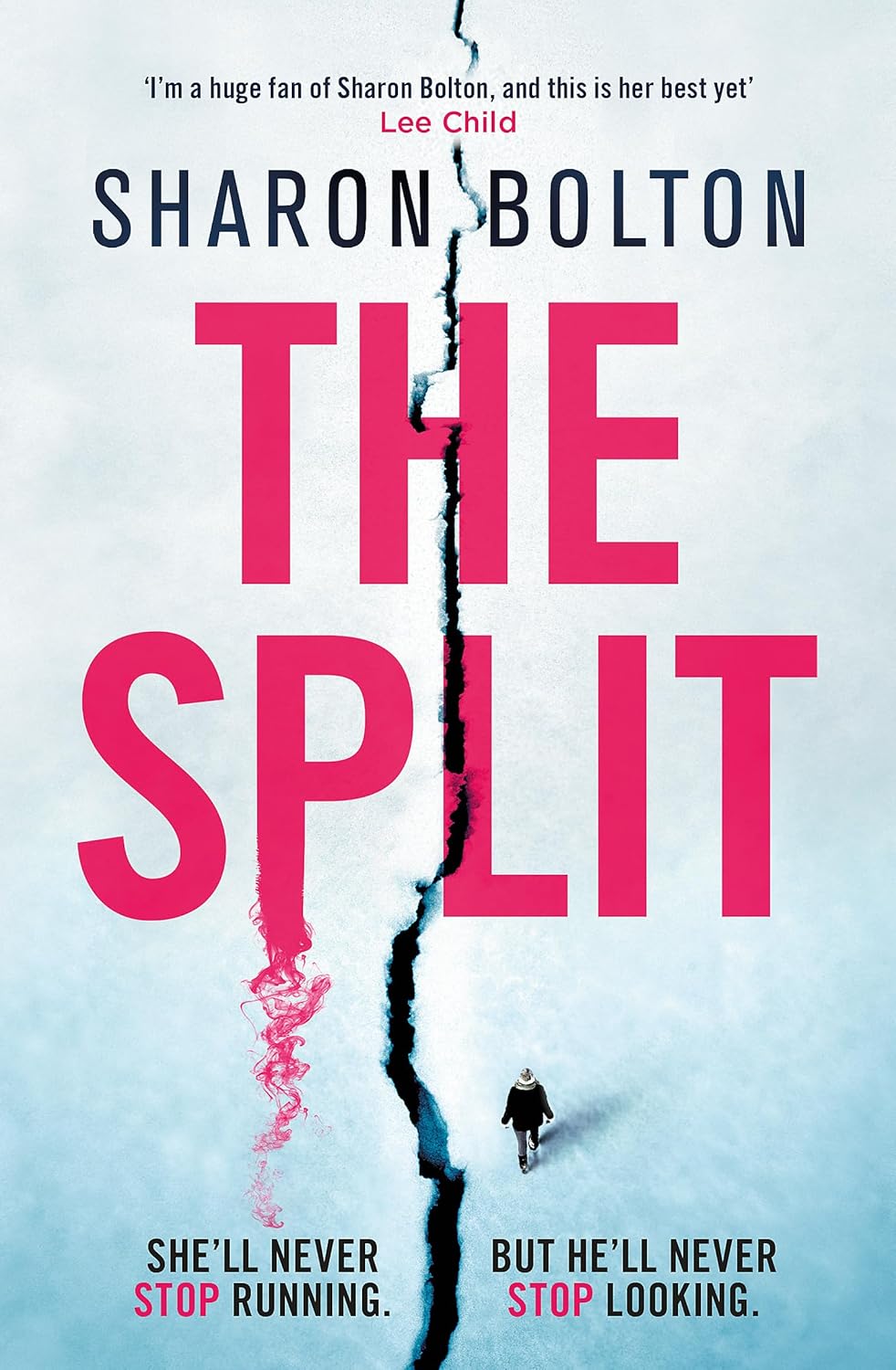 The Split: The most gripping, twisty thriller of the year (A Richard ...