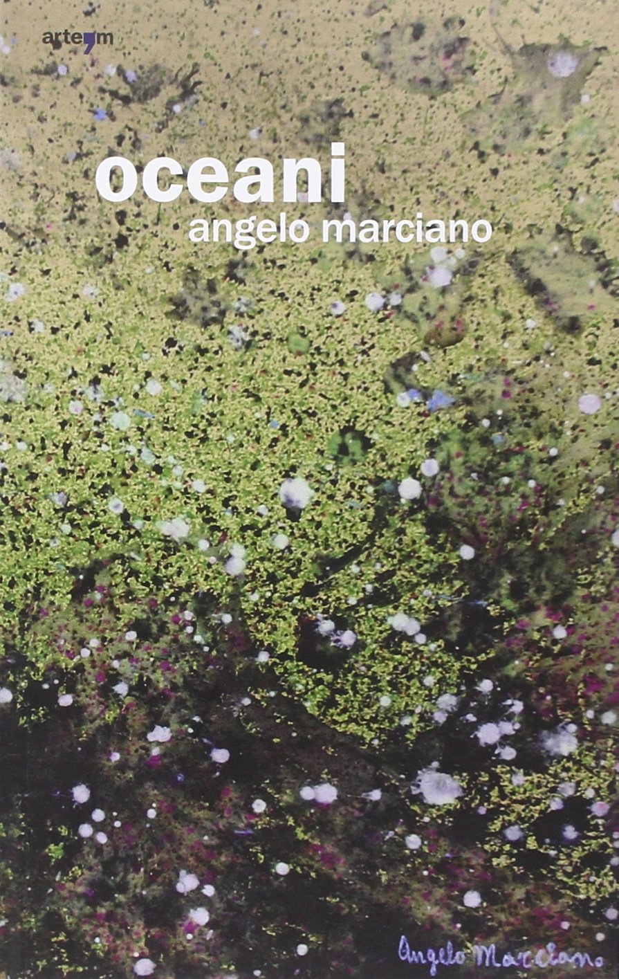 Oceani. Catalogo della mostra (Napoli, 1-11 aprile 2011). Ediz ...