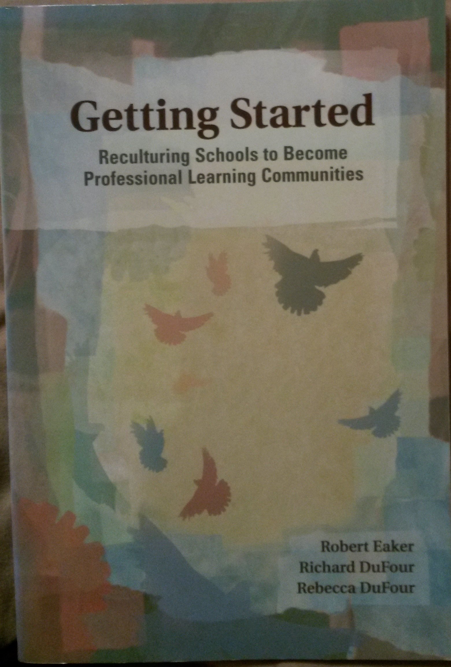 Getting Started: Reculturing Schools to Become Professional Learning ...