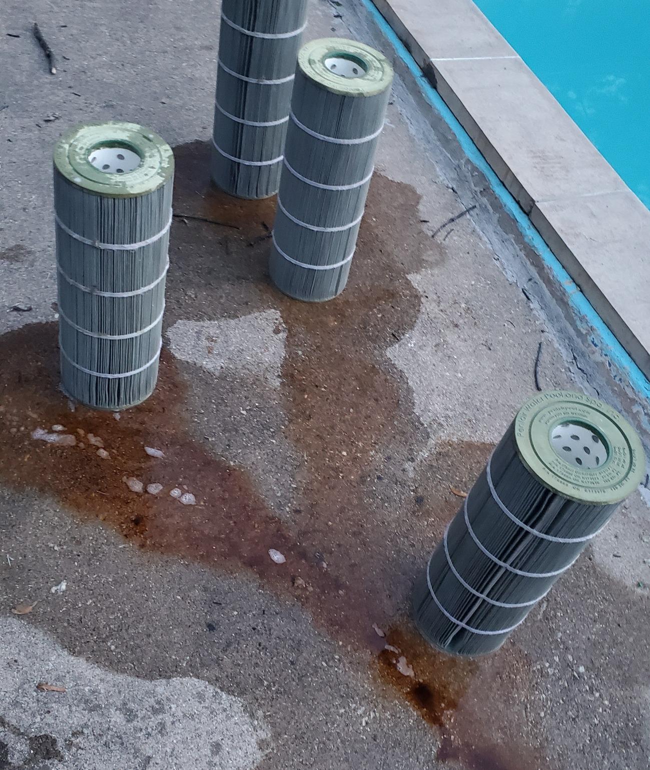 Amazon.com: BioGuard Strip Kwik Degreaser - Quart (2 Pack) : Patio ...