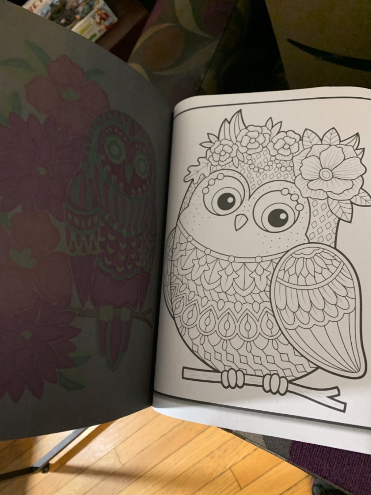 Adorable Owls: An Adult Coloring Book with Cute Owl Portraits, Fun Owl ...