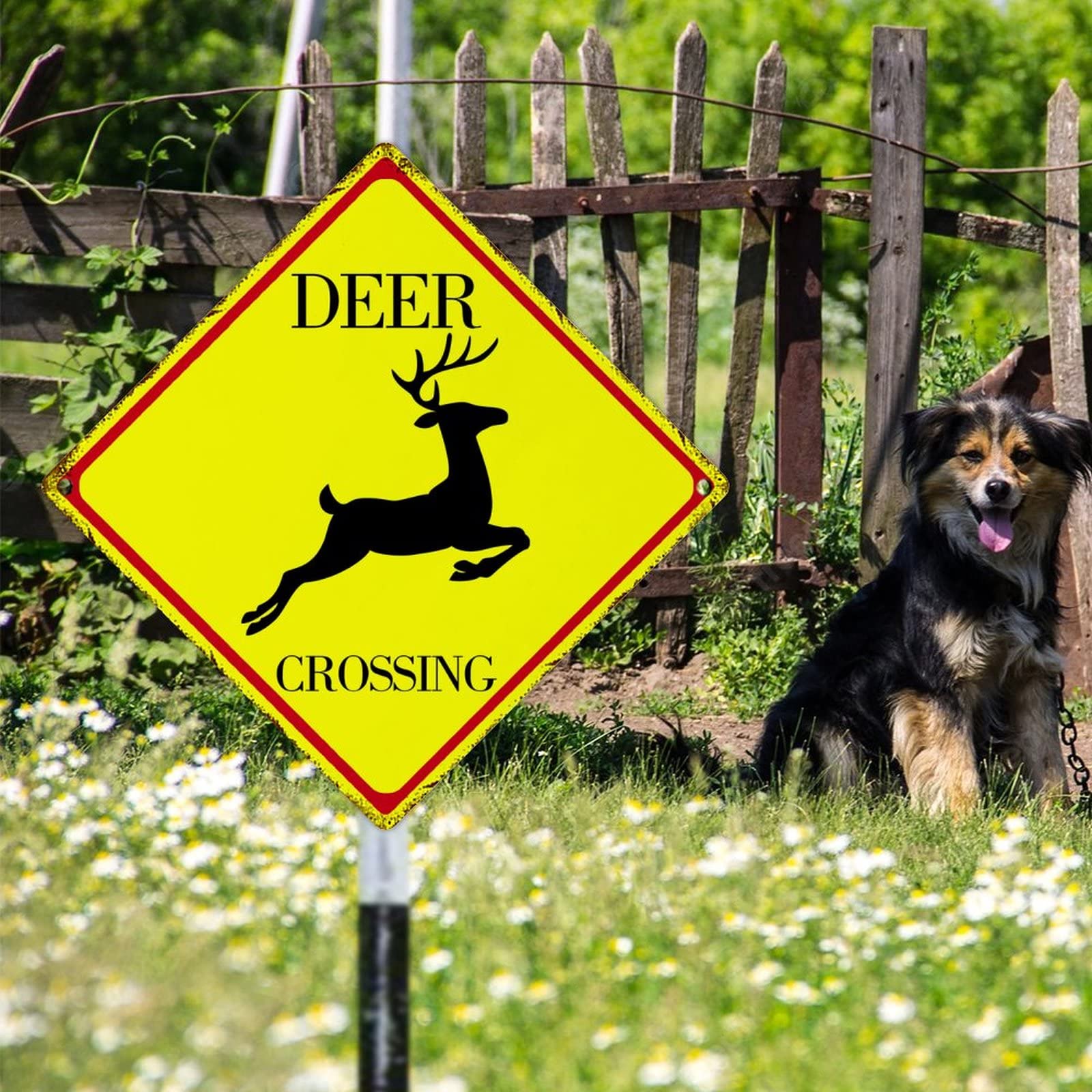 Deer On Board Caution Signs