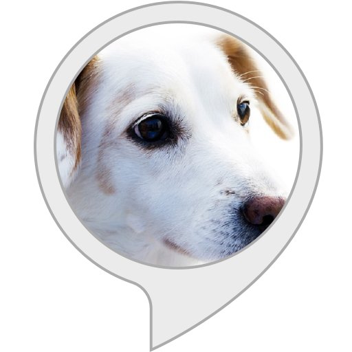 Amazon.com: New Puppy Owner Tips : Alexa Skills