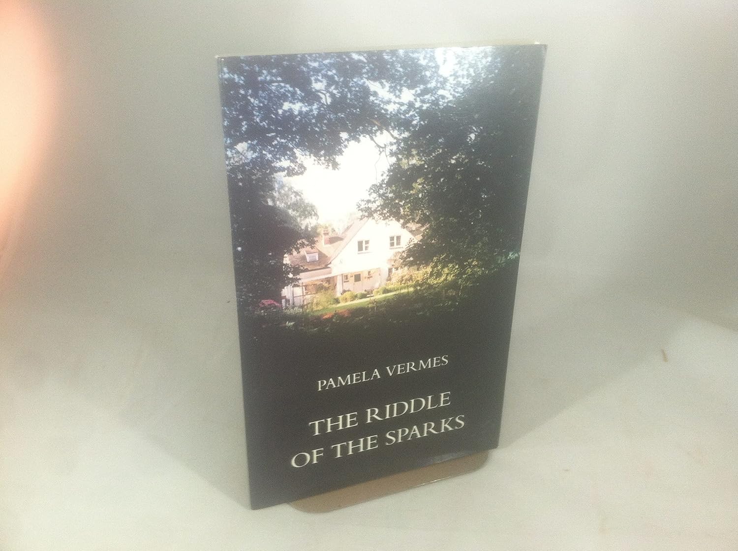 The Riddle of the Sparks: Pamela Vermes: 9780952244004: Amazon.com: Books