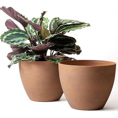 Elly Décor 10 Inch Red Clay Ceramic Planter with Drainage Hole and ...