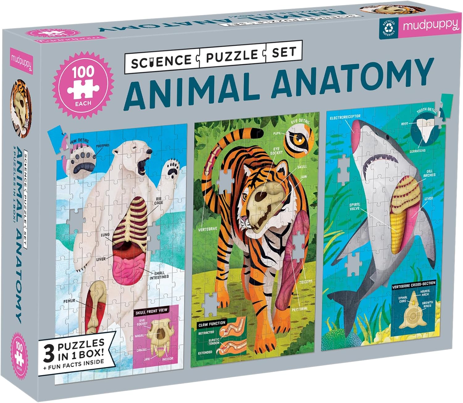 Amazon.com: Animal Anatomy Science Puzzle Set : Mudpuppy: Toys & Games