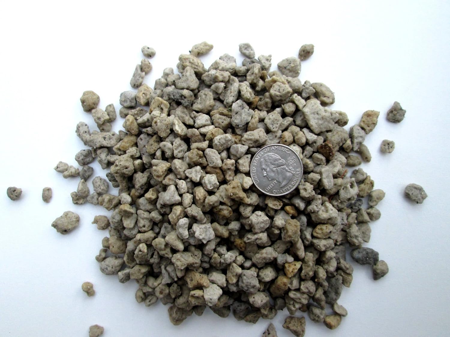 Amazon.com : 10 CUPS PUMICE - 3/8"+ - 1/4"+, Bonsai Soil, Succulents ...