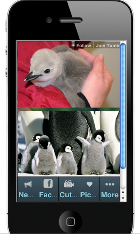 CUTE BABY ANIMALS - App on Amazon Appstore