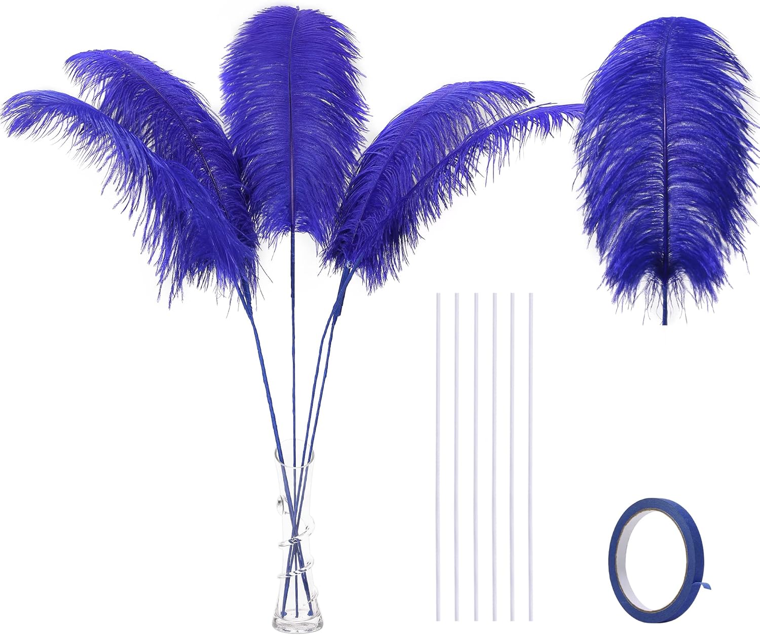 Amazon.com: Ballinger Royal Blue Ostrich Feathers - 12pcs 24-26inch ...