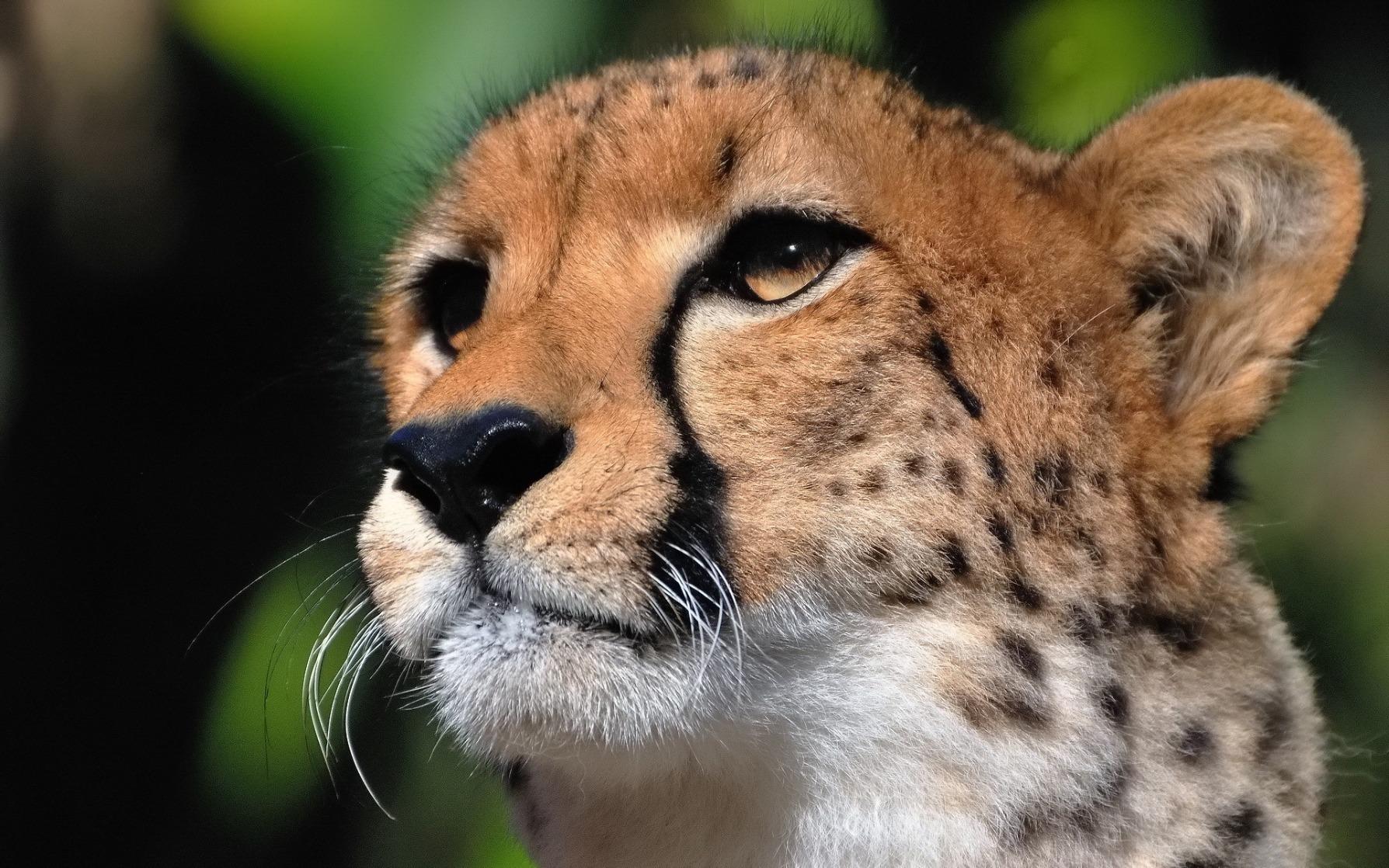 Amazon.com: For Earth Below: CDs & Vinyl