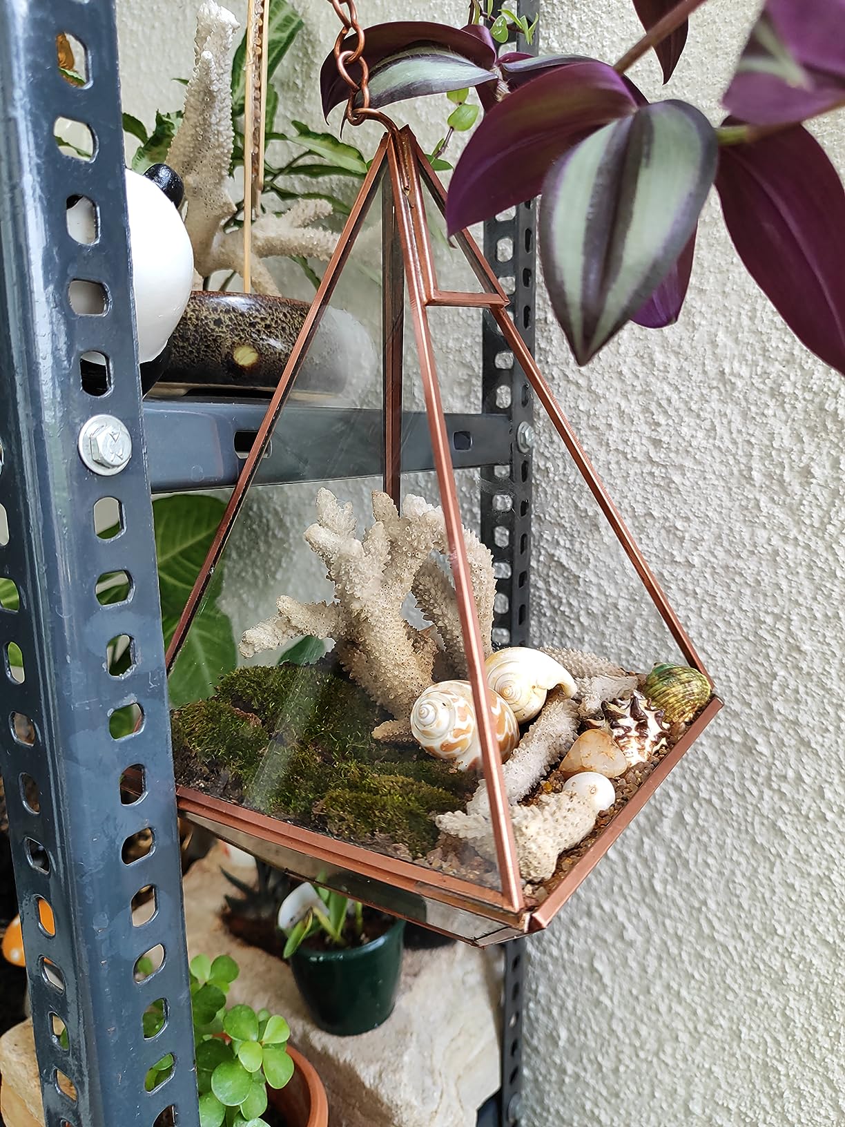 TrustBasket Triangular Tower Terrarium for Small Indoor Plants : Amazon ...