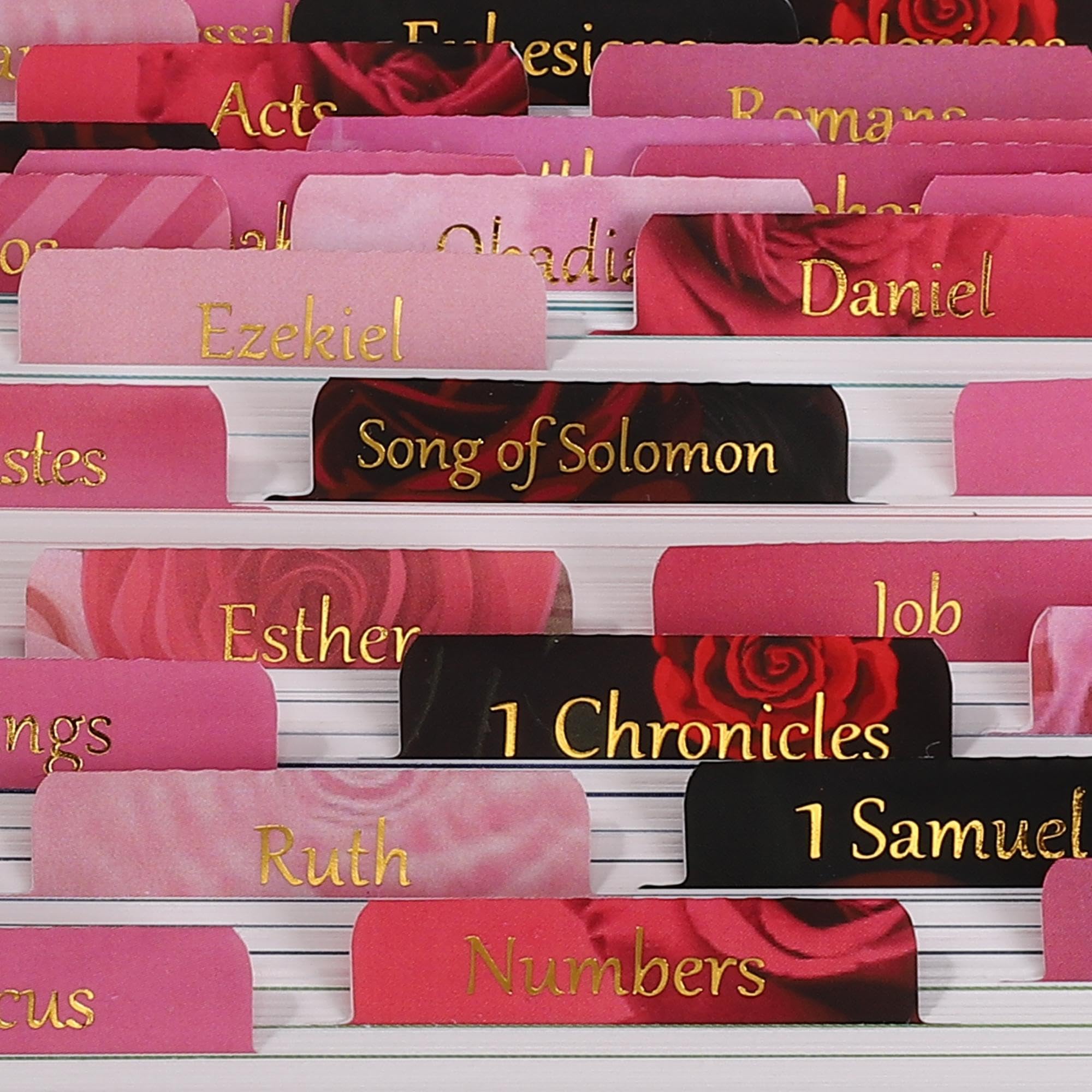 Snapklik.com : Thinkor Laminated & Reposition Bible Tabs, Gold Foil ...