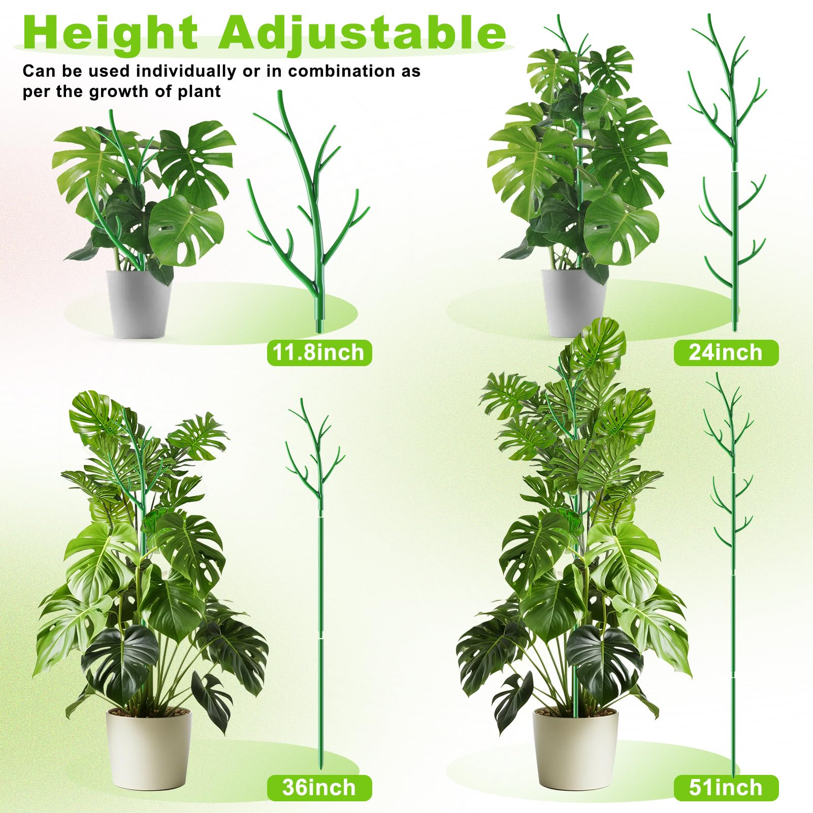 Snapklik.com : Fabulas 6 Pack Plant Support Stakes For Indoor Plants ...