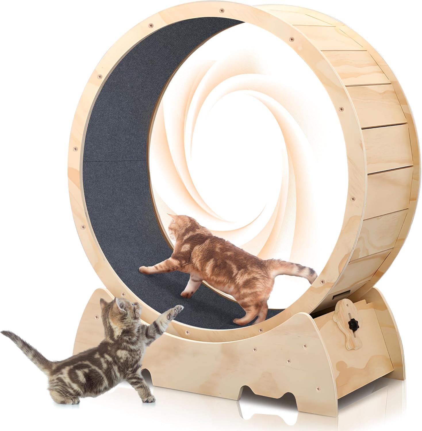 Amazon.com : Regenue Cat Exercise Wheel for Indoor Cat,43 inch Large XL ...