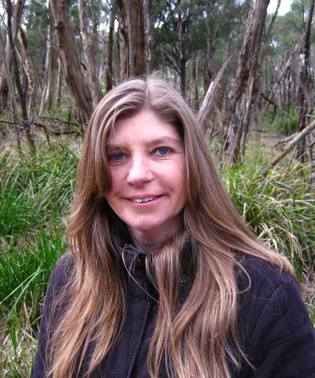 Amazon.com: Marilyn Phillips: books, biography, latest update