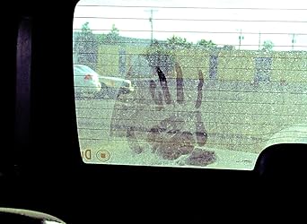 Amazon.com: Skinwalker Ranch : Path of the Skinwalker eBook : Skinner, Ryan: Kindle Store