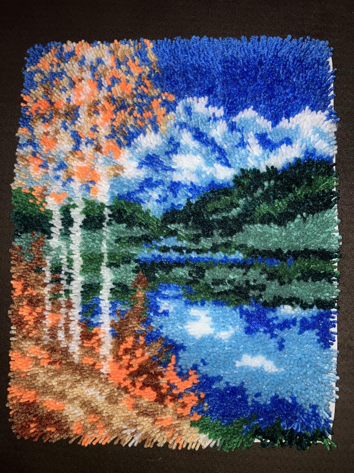 Amazon.com: Natural Landscape River Tree Latch Hook Kits Rug Printed ...