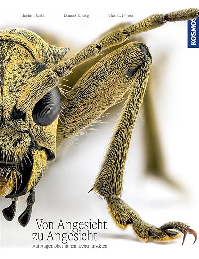 Von Angesicht zu Angesicht: Auf Augenhöhe mit heimischen Insekten ...