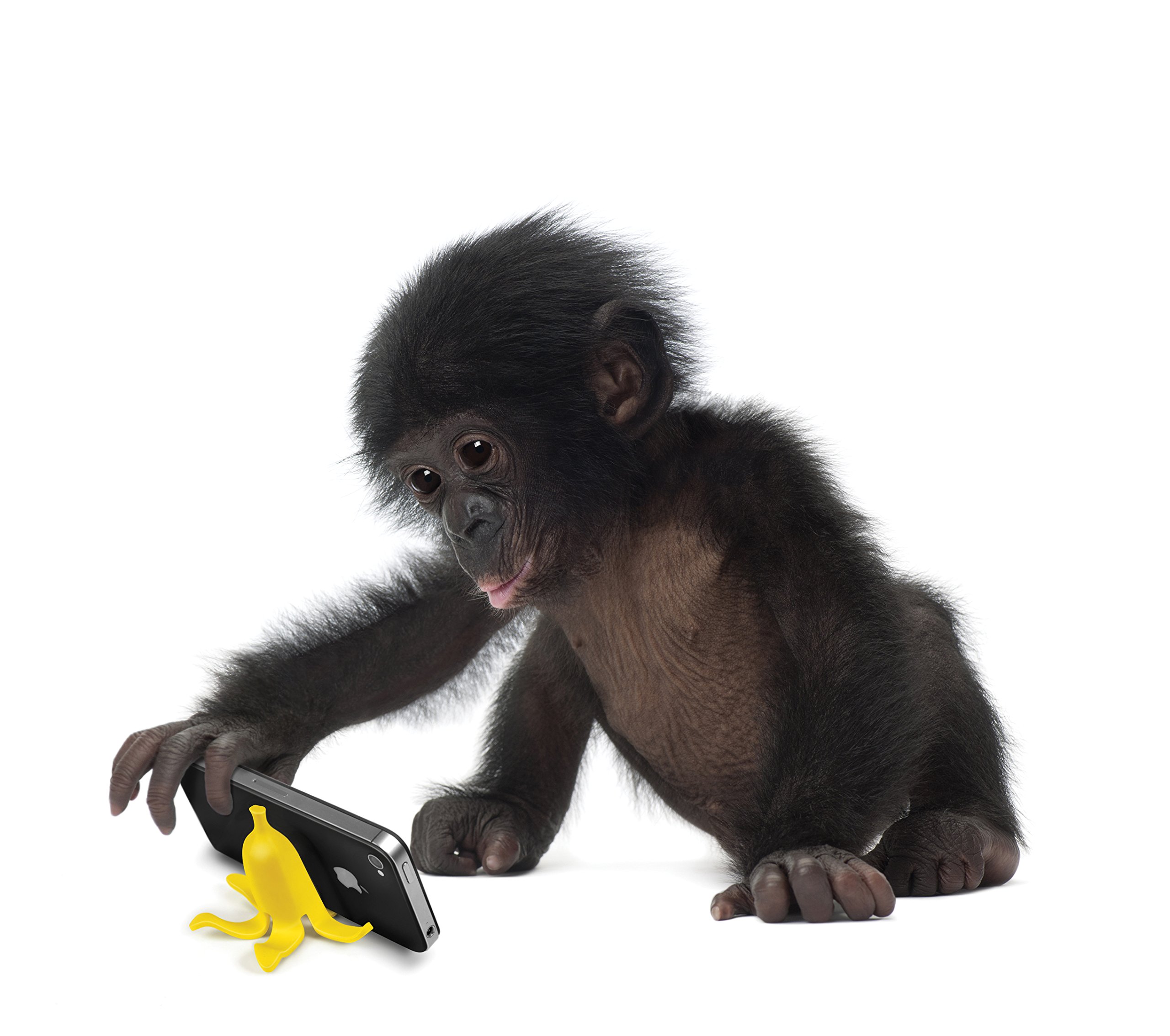 Snapklik.com : Genuine Fred Fred Banana Stand Phone Stand