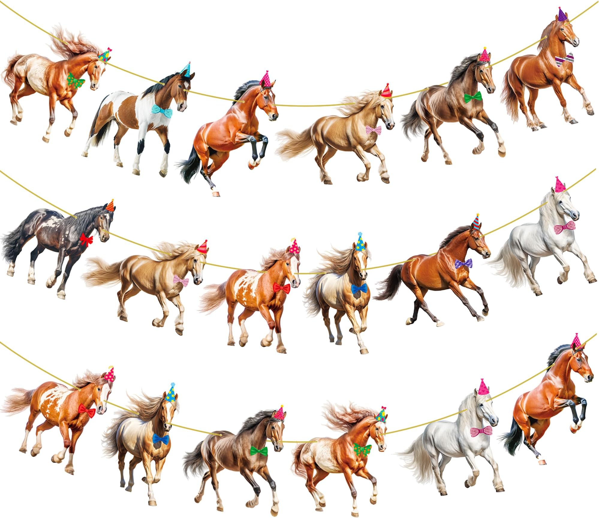 Amazon.com: Horse Party Banners Horse Party Decorations 3Pcs Horse ...