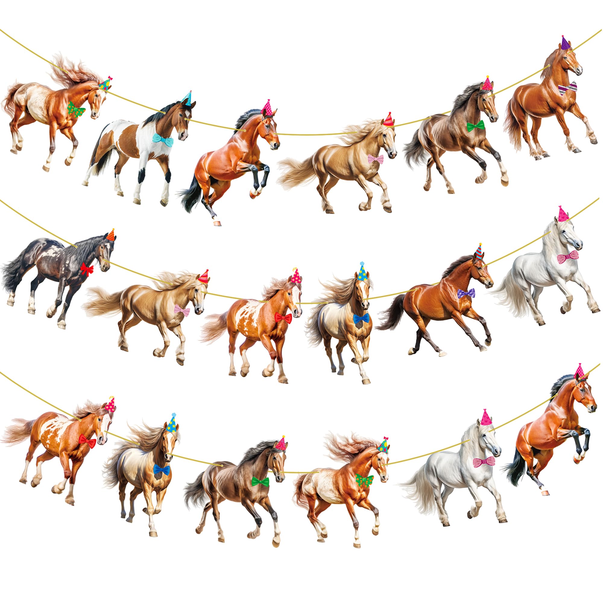 Amazon.com: Horse Party Banners Horse Party Decorations 3Pcs Horse ...