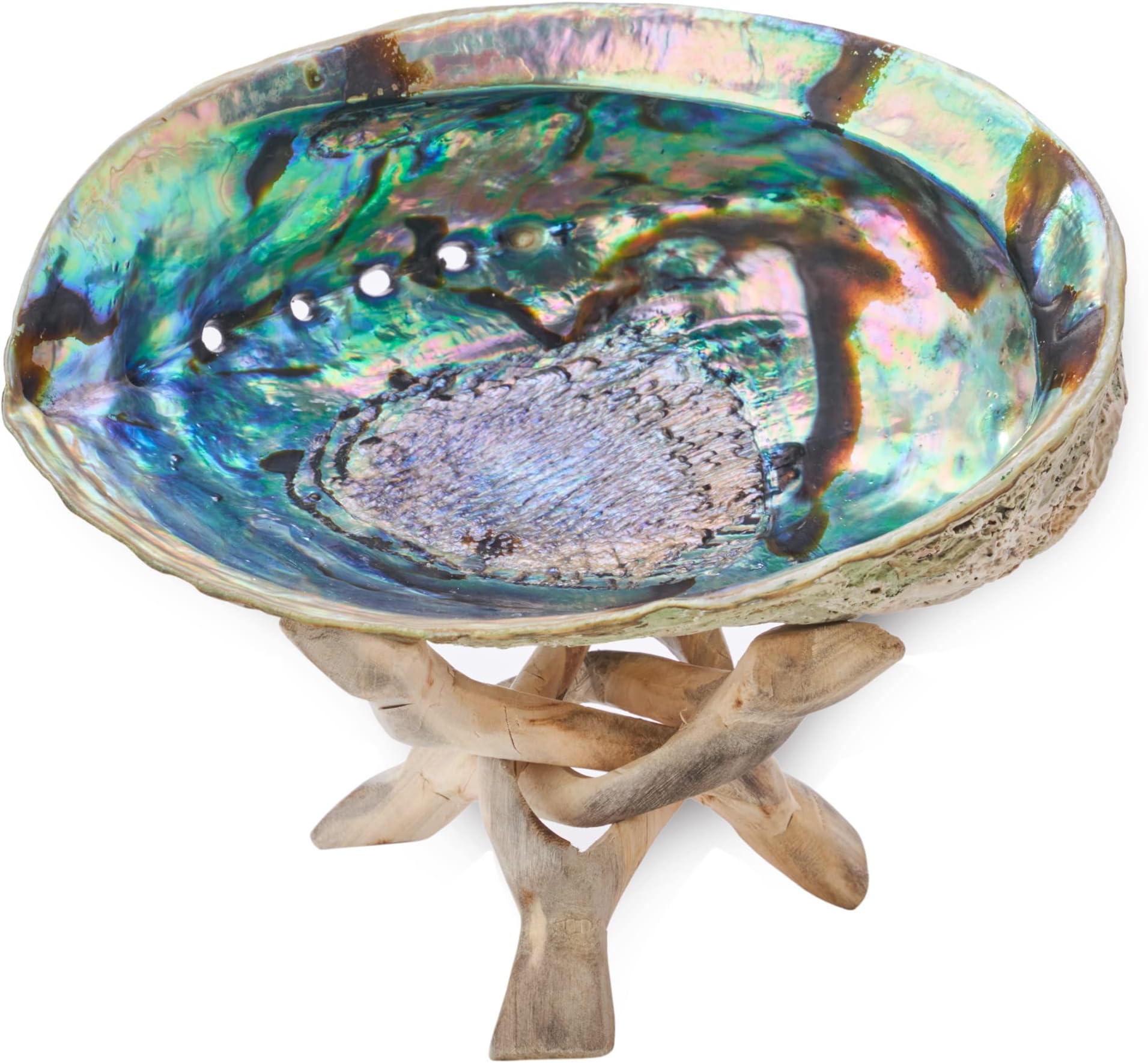 Amazon.com: JL Local 6 Inch Smudge Kit Shell & Stand | Abalone Shell ...