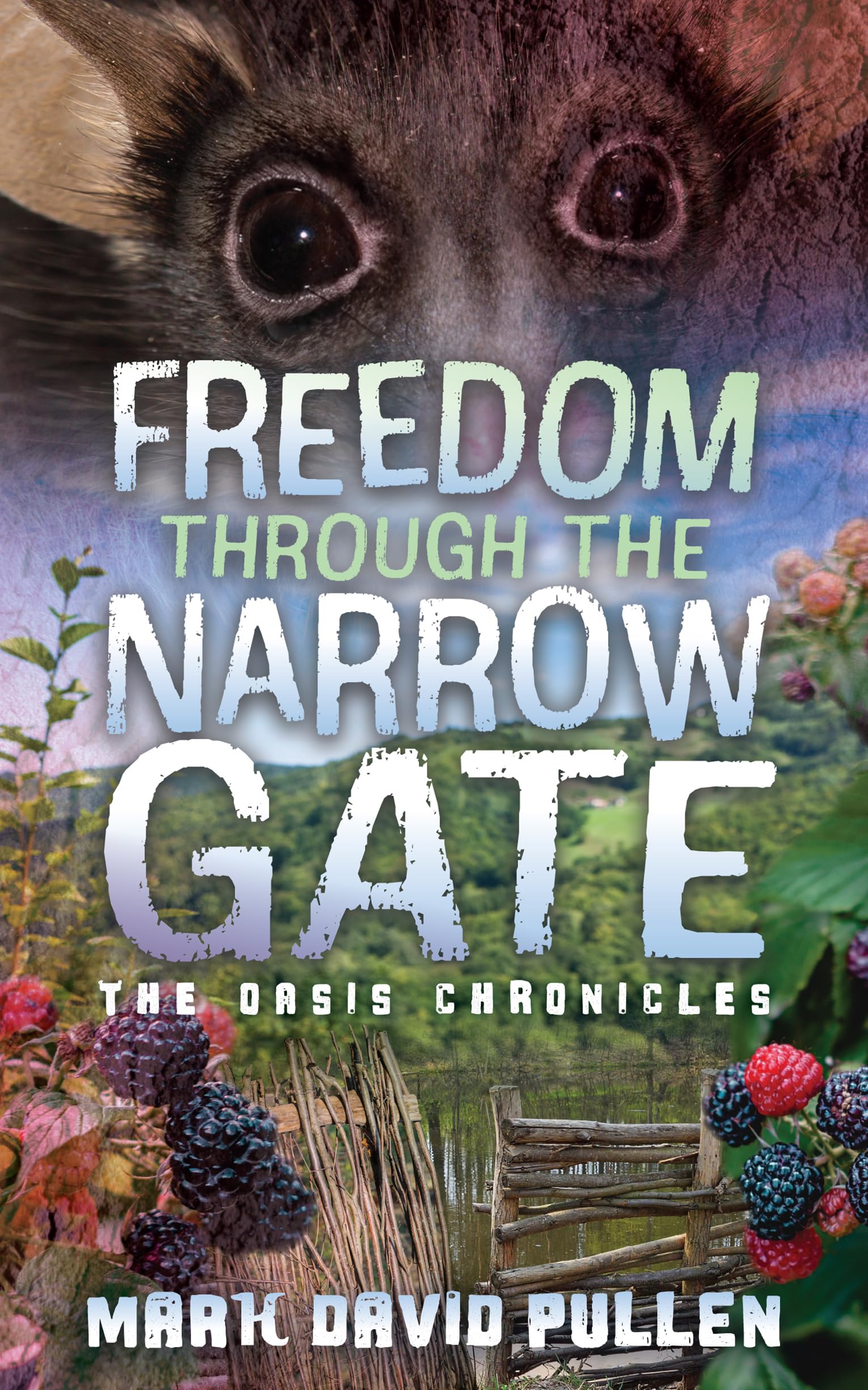 Amazon.com: Freedom Through the Narrow Gate: 9781636983813: Pullen, Mark David: Books