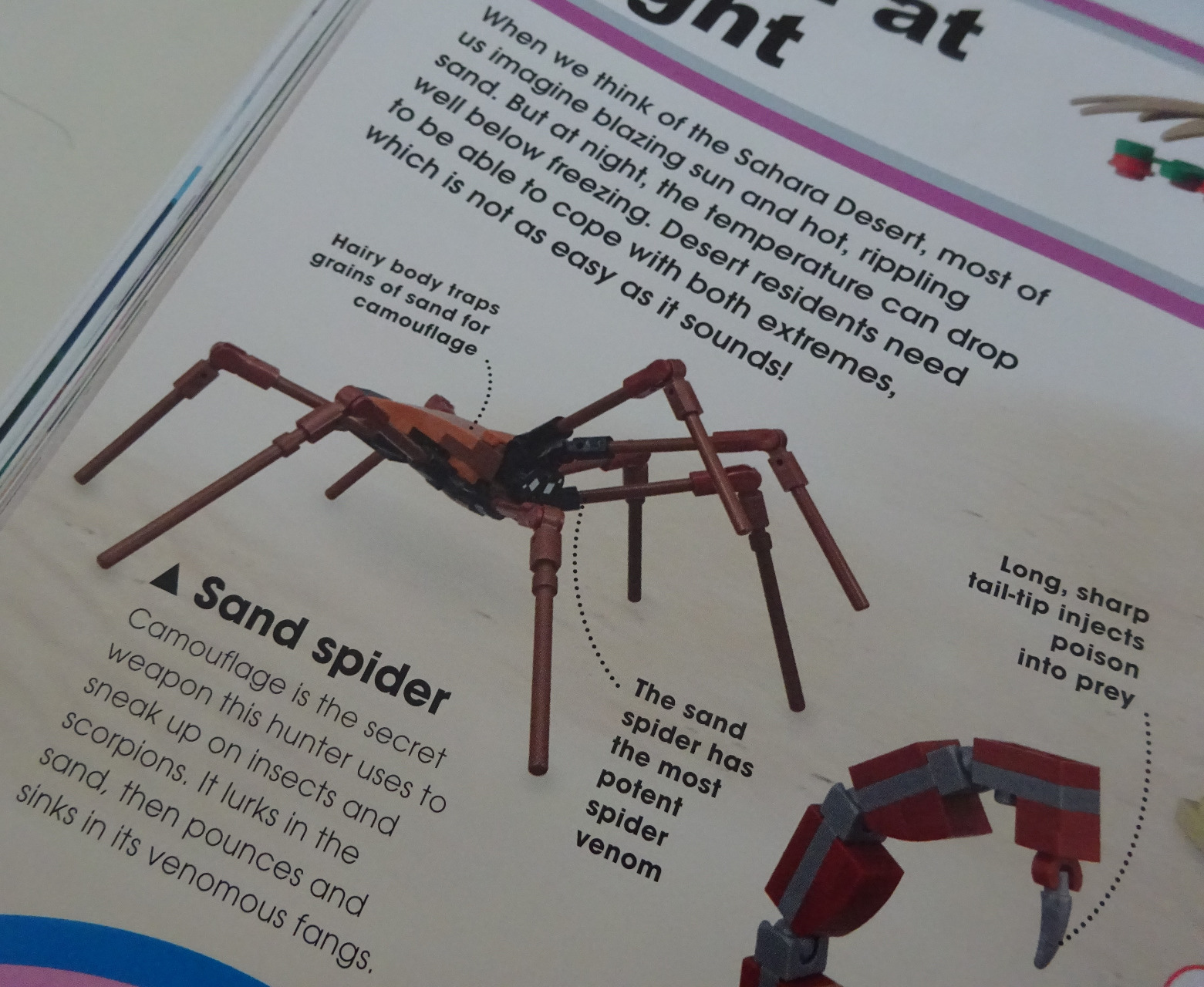 Lego Super Nature : Skene, Rona: Amazon.co.uk: Books